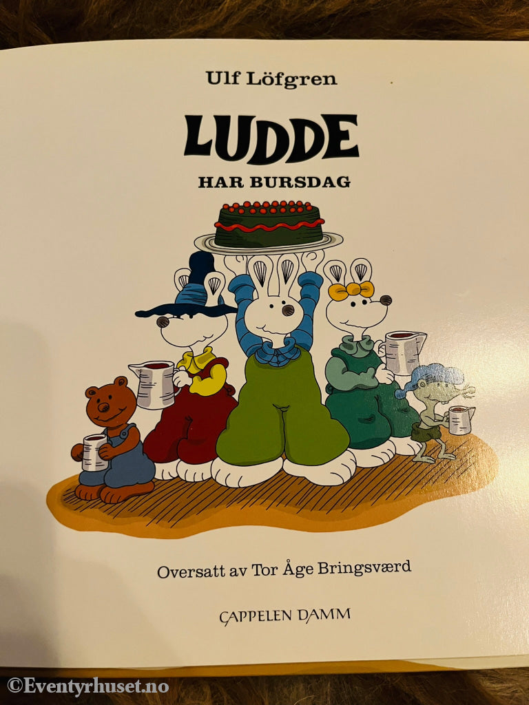 Ulf Lögren. Ludde har bursdag. – Eventyrhuset